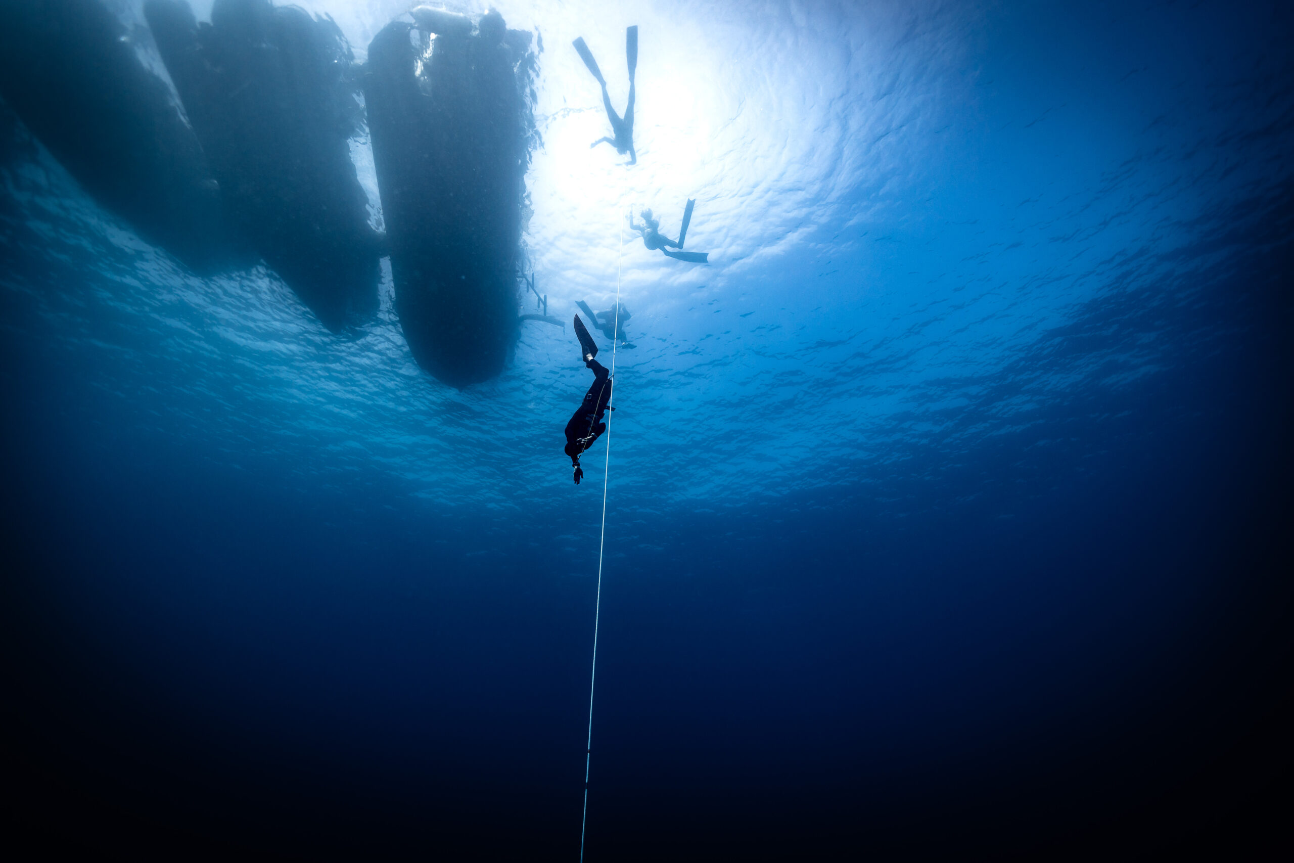 Le centre - The Cormorant Freediving